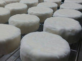 Stanthorpe Cheese