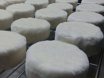 Stanthorpe Cheese